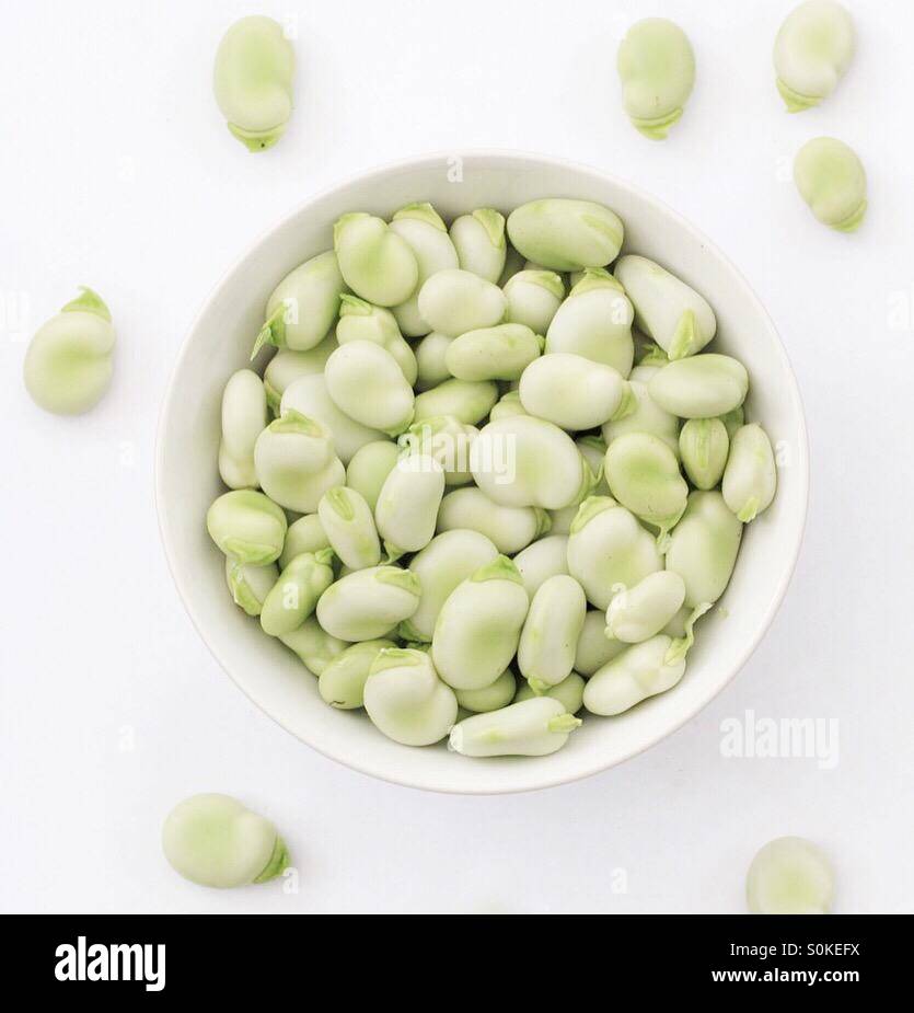 A bowl full of broad beans isolated on a white background Stock Photo ...