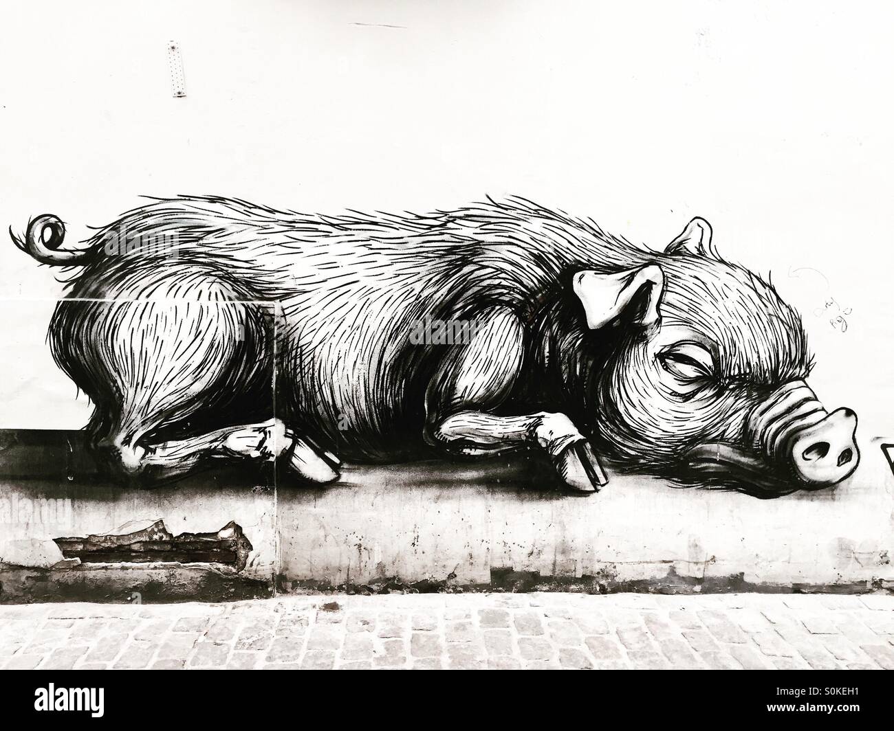 Graffiti pig hi-res stock photography and images - Alamy