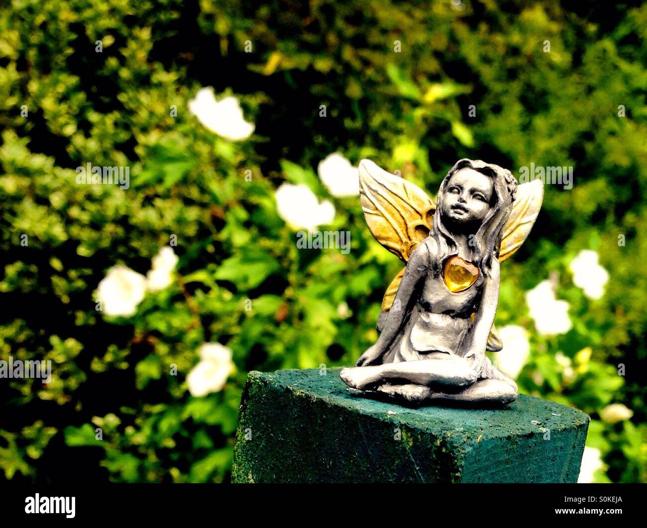 Magical fairy hi-res stock photography and images - Alamy