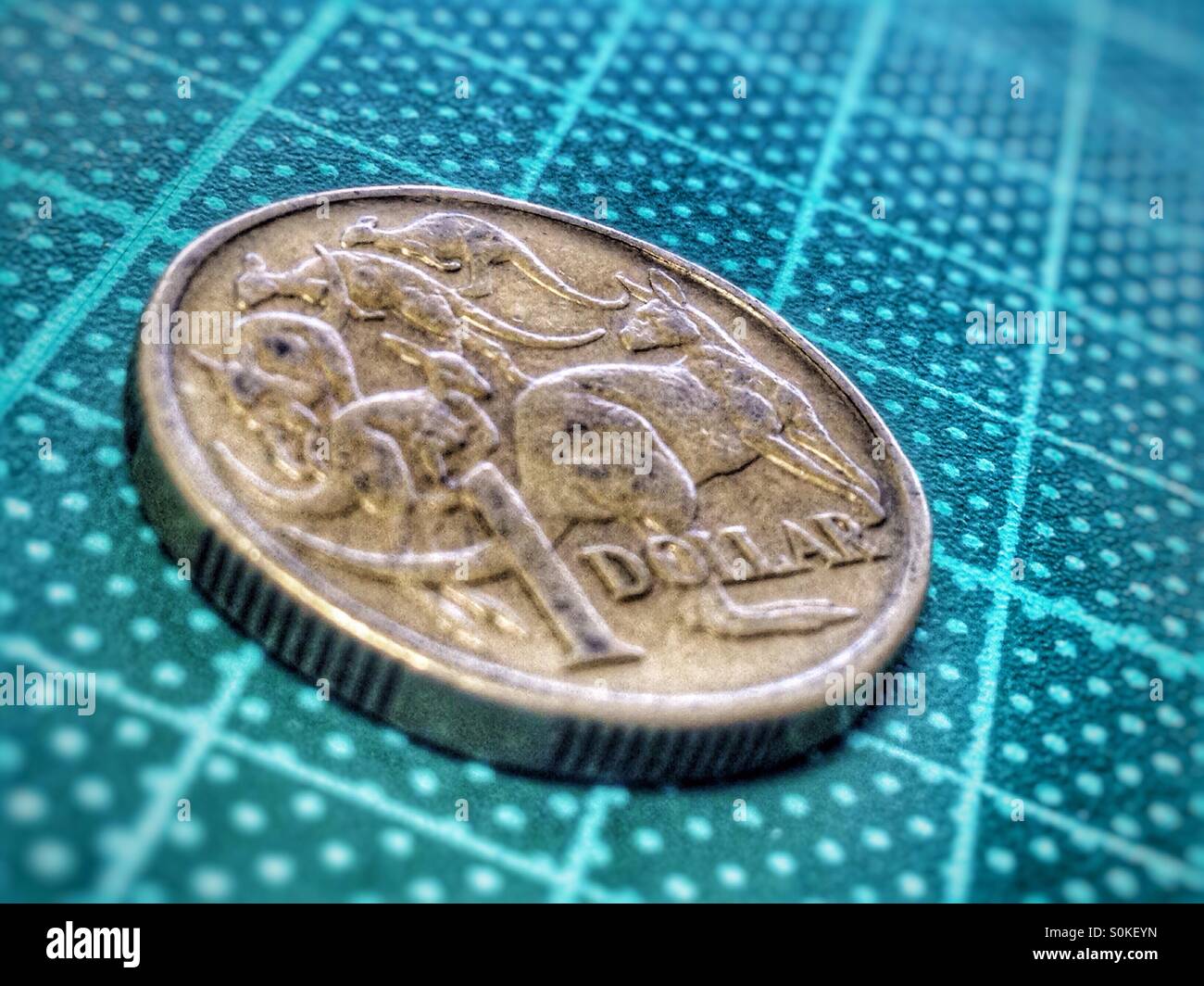 Australian One Dollar Coin Stock Photo Alamy australian-one-dollar-coin-stock-photo-alamy