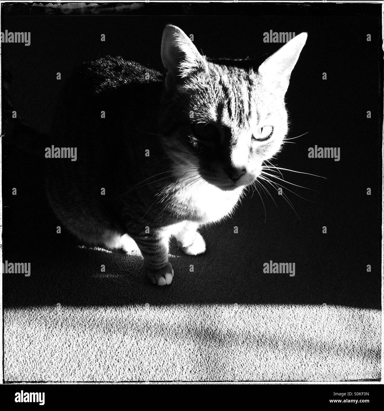 Sunning spot hi-res stock photography and images - Alamy