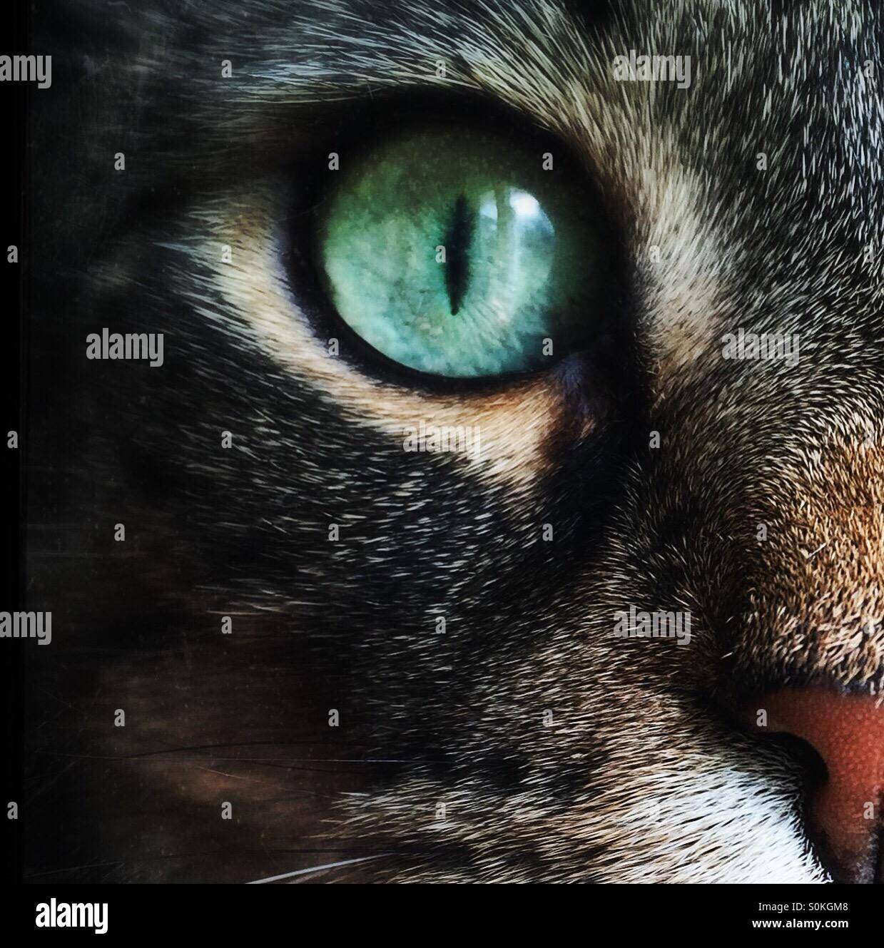 Hypnotic eye hi-res stock photography and images - Alamy