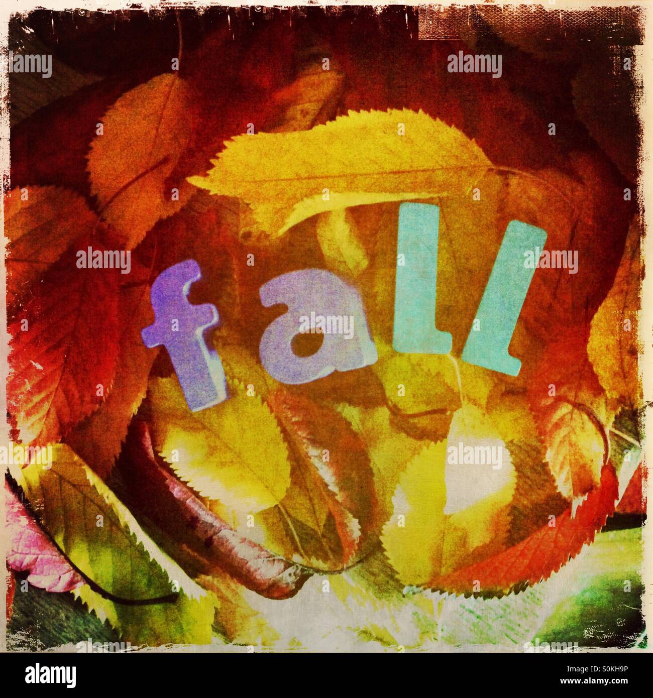 Autumn leaves with the word 'fall' spelt with children's wooden bricks ...