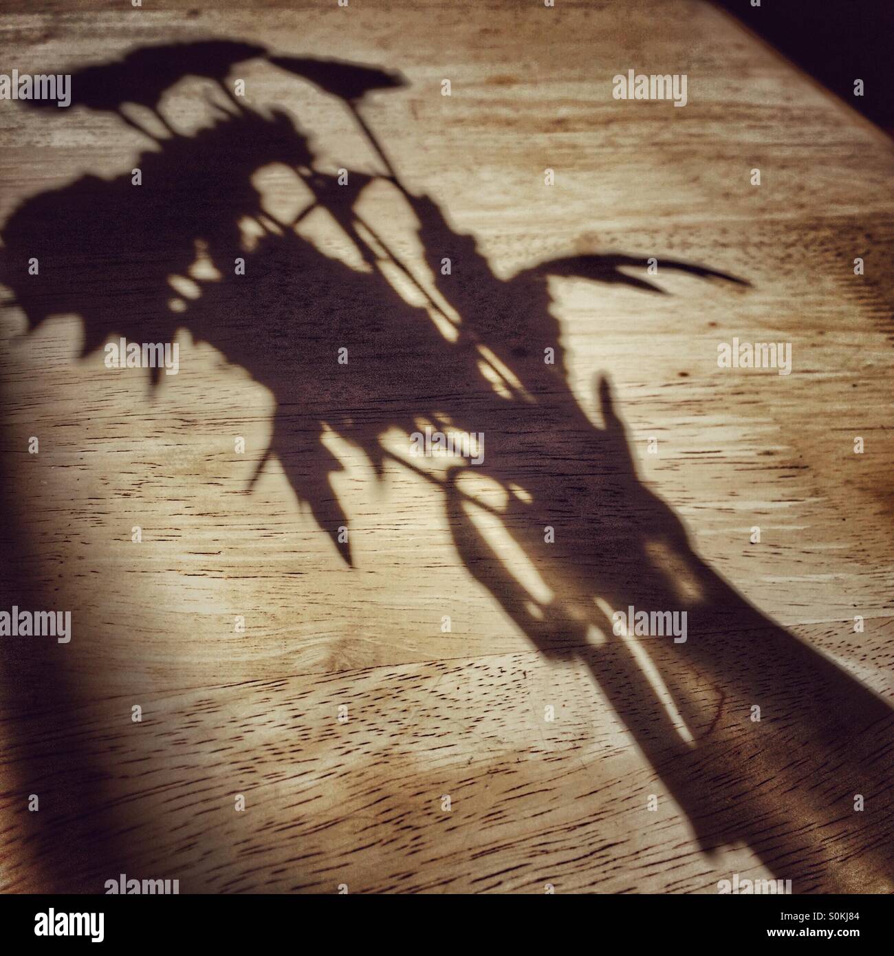 Vase of flowers shadow Stock Photo - Alamy