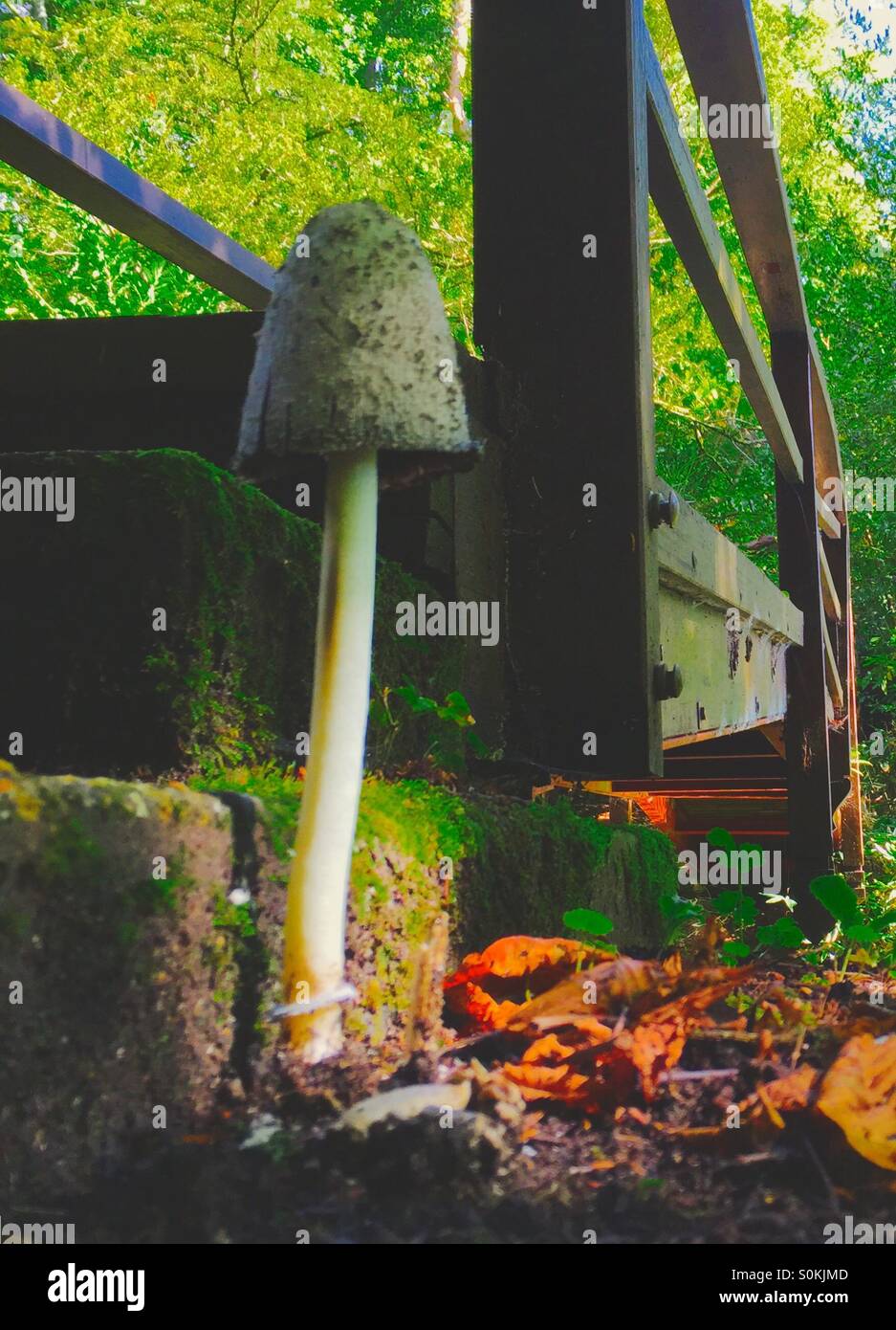 Bridge troll hi-res stock photography and images - Alamy