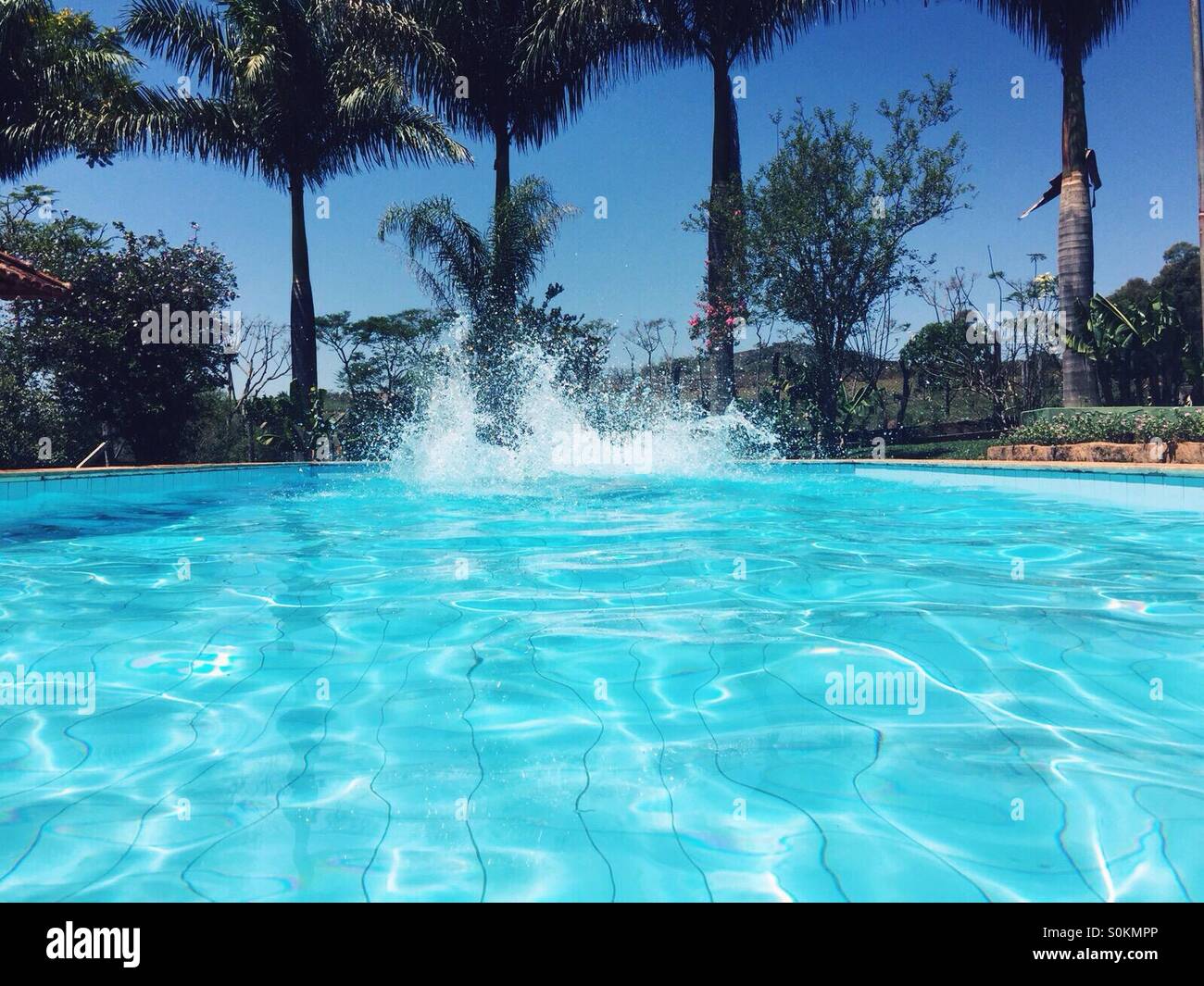 Piracema hi-res stock photography and images - Alamy