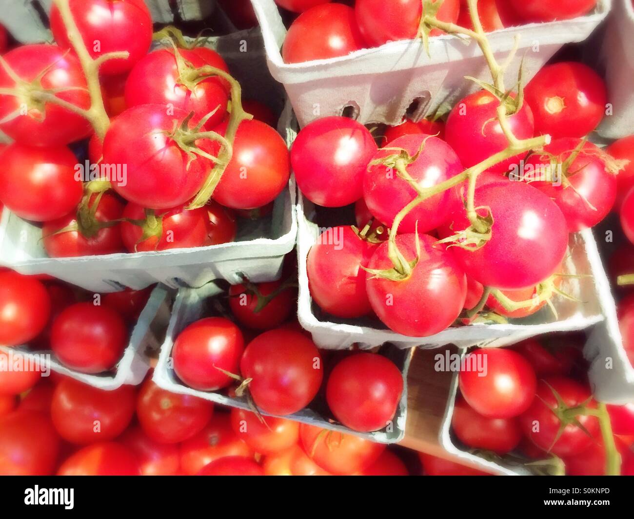 Tomatoes in containers hi-res stock photography and images - Alamy