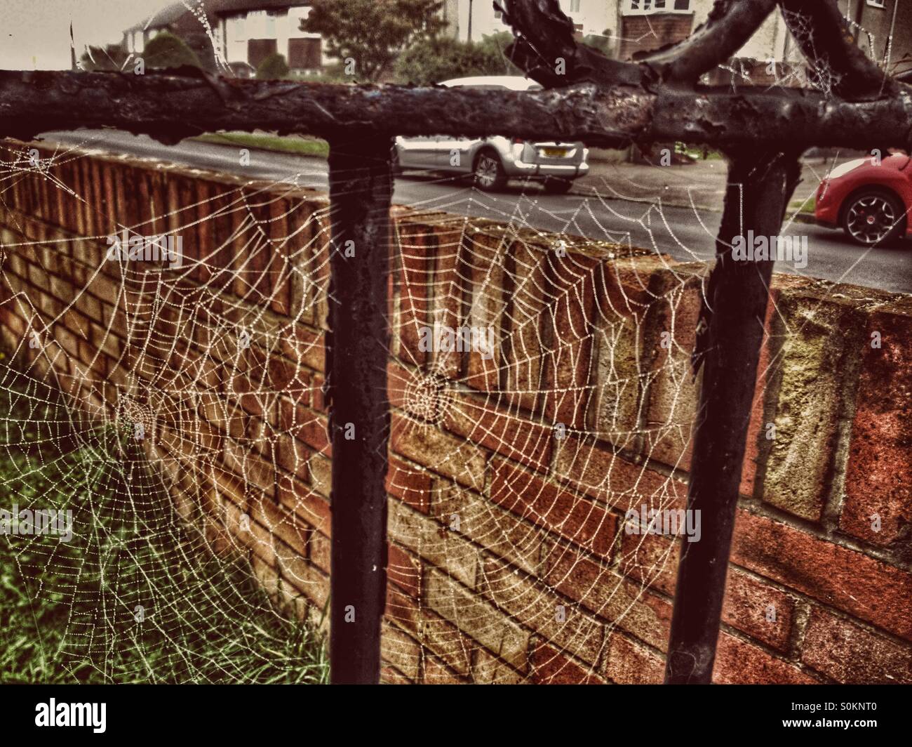 Spider web gate hi-res stock photography and images - Alamy