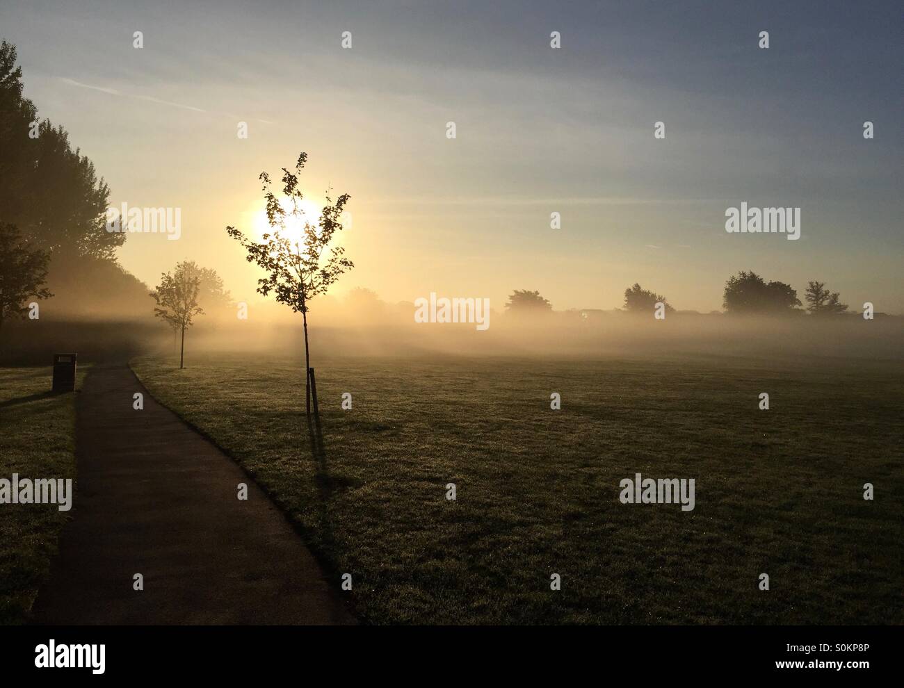 Solihull park hi-res stock photography and images - Alamy