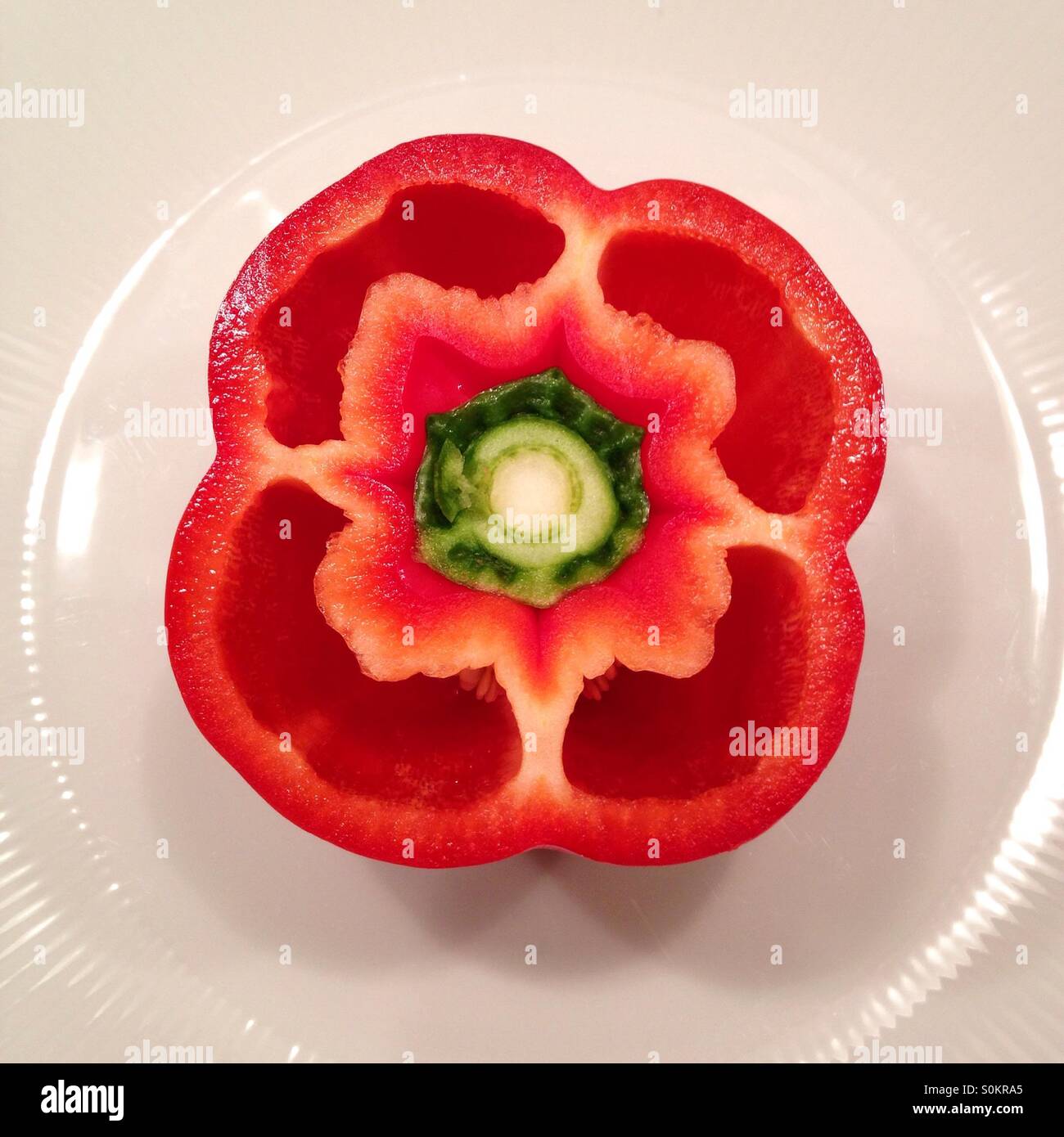 Bell pepper flower hi-res stock photography and images - Alamy