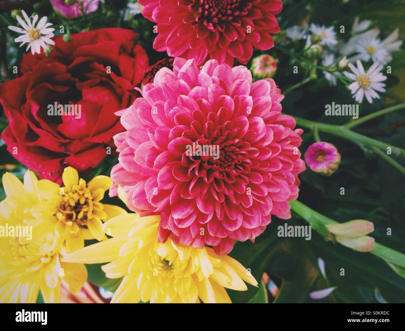 Life of flower hi-res stock photography and images - Alamy