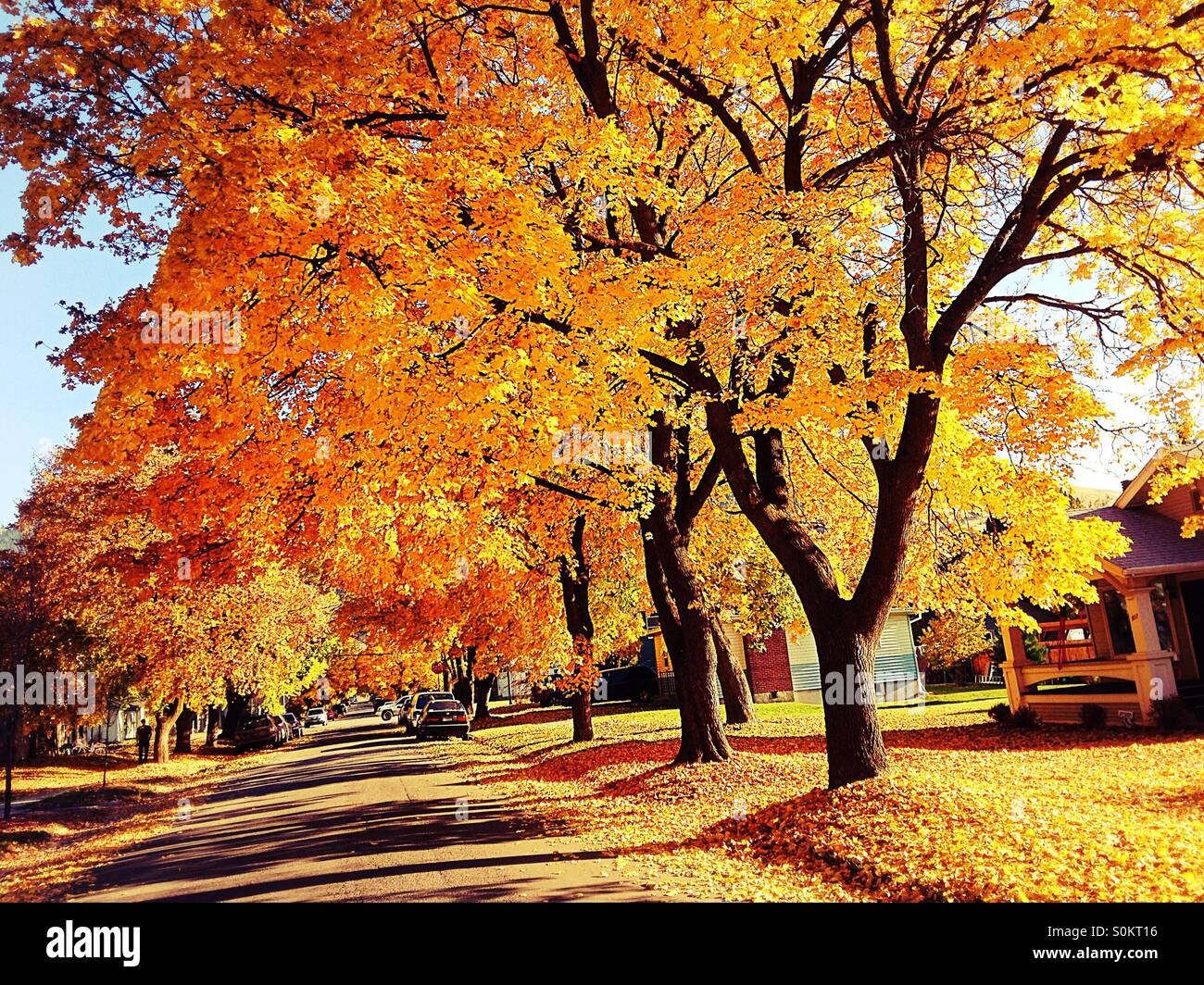 Full fall color hi-res stock photography and images - Alamy