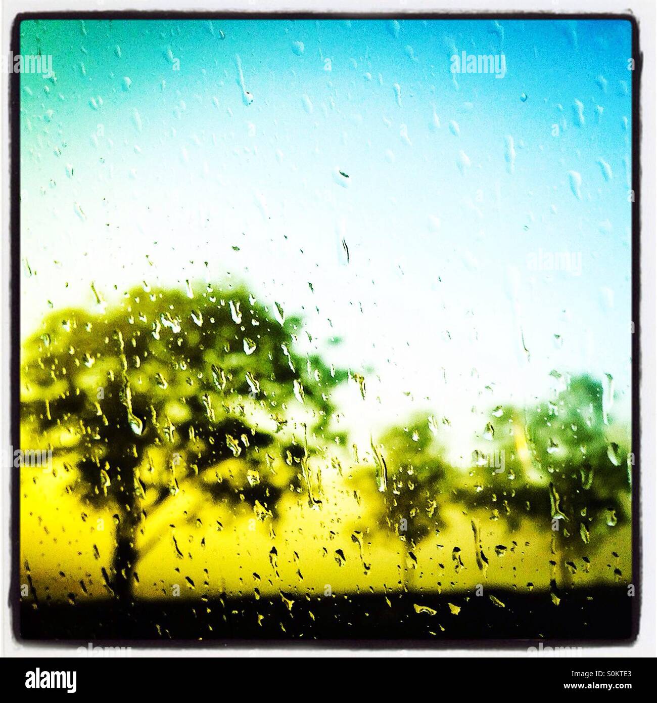 Early morning trees seen though a glass window Stock Photo - Alamy
