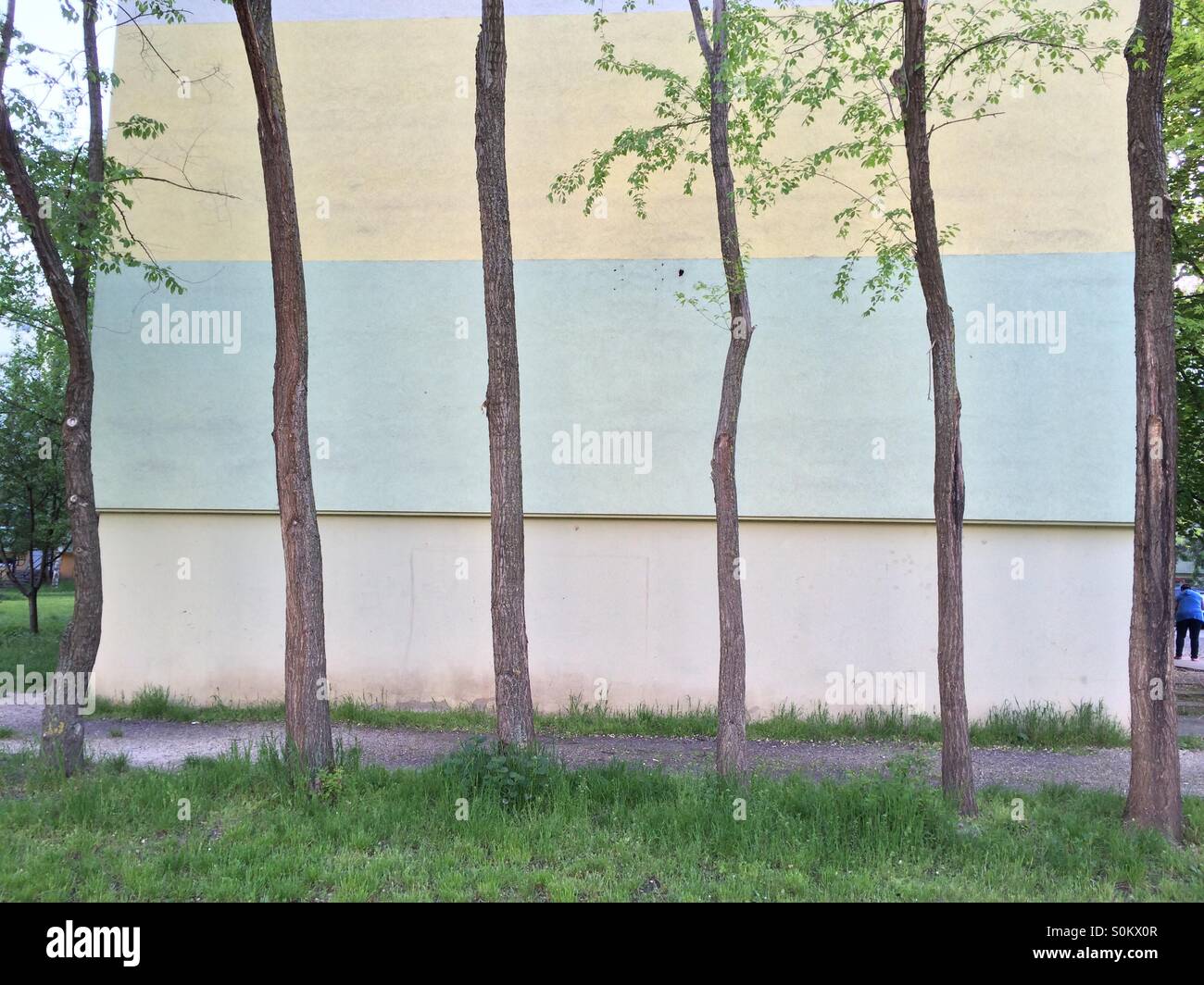 Tree cage hi-res stock photography and images - Alamy