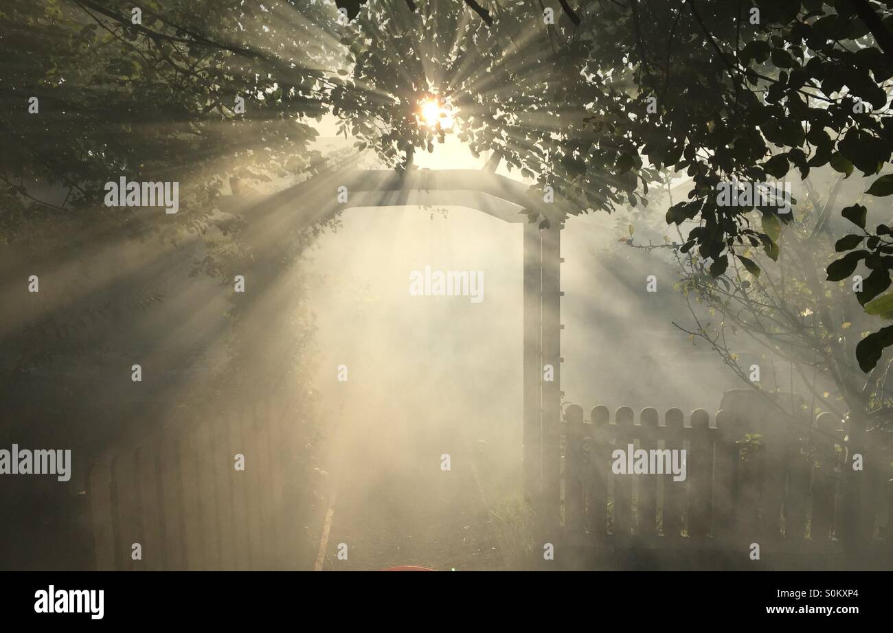 Sun set tree hi-res stock photography and images - Alamy