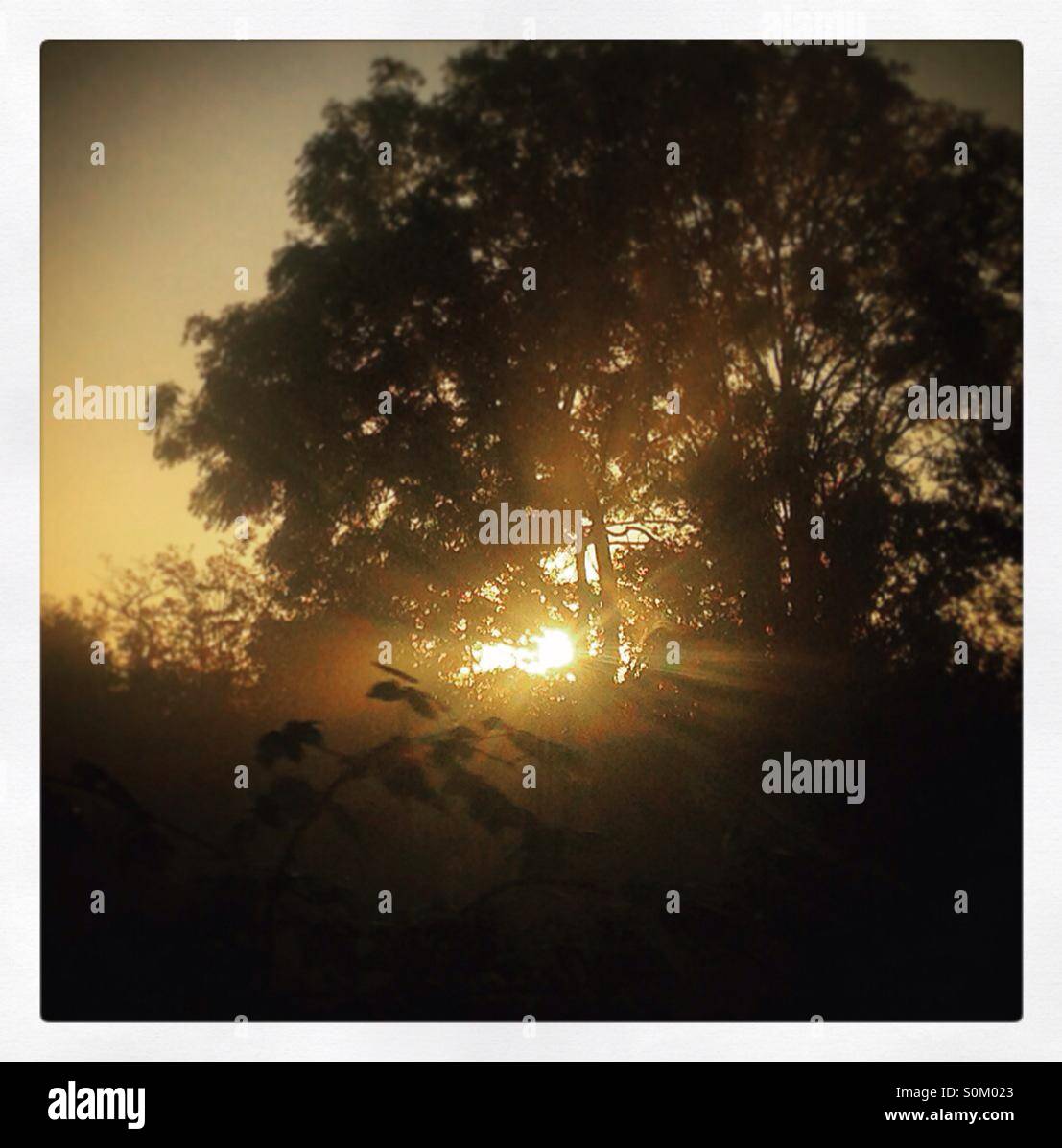 Early sun light hi-res stock photography and images - Alamy