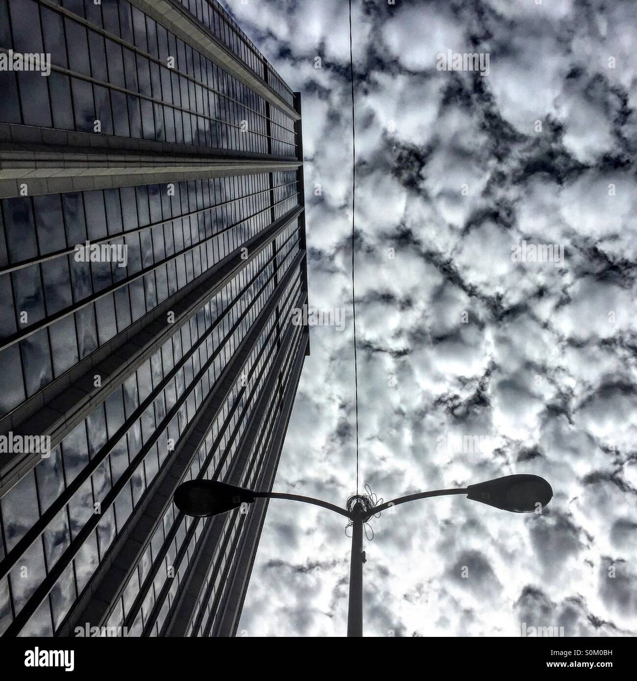 Gazing up hi-res stock photography and images - Alamy