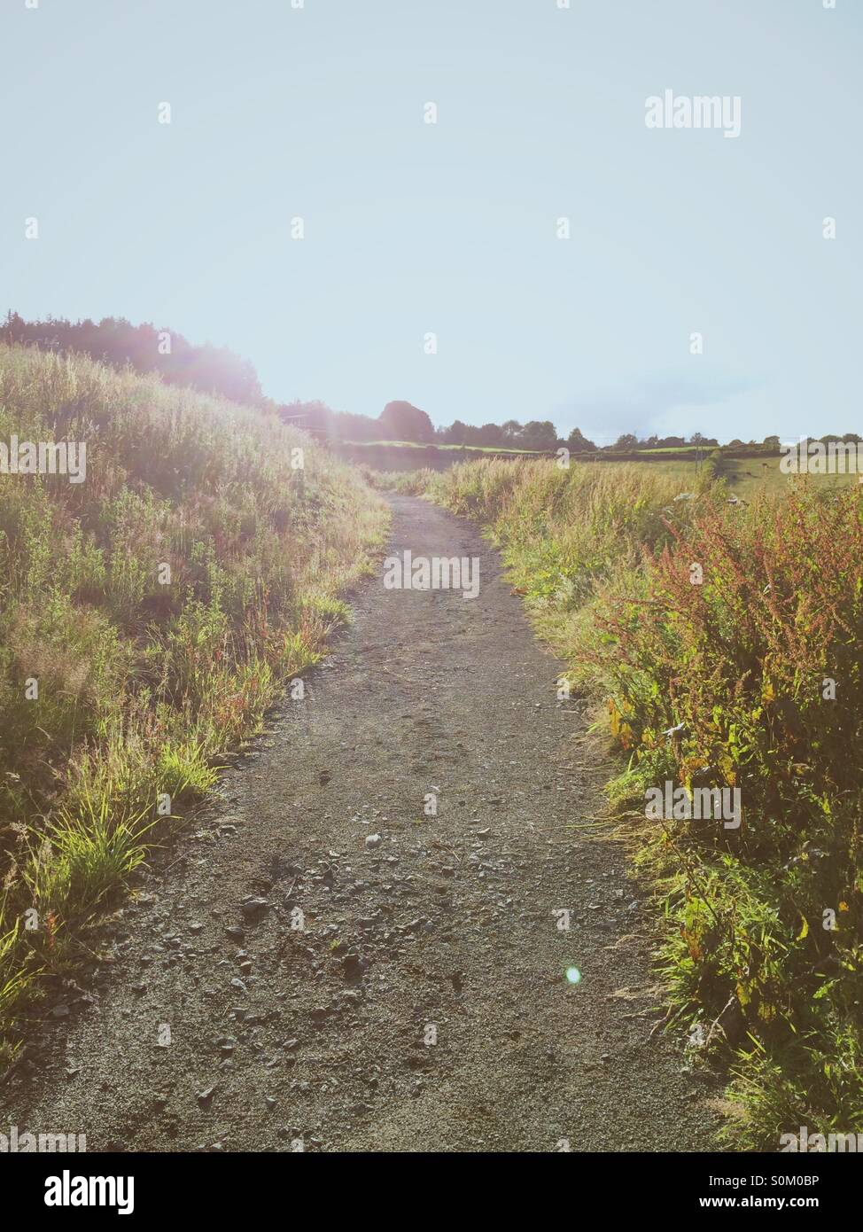 Rural path in sun hi-res stock photography and images - Alamy