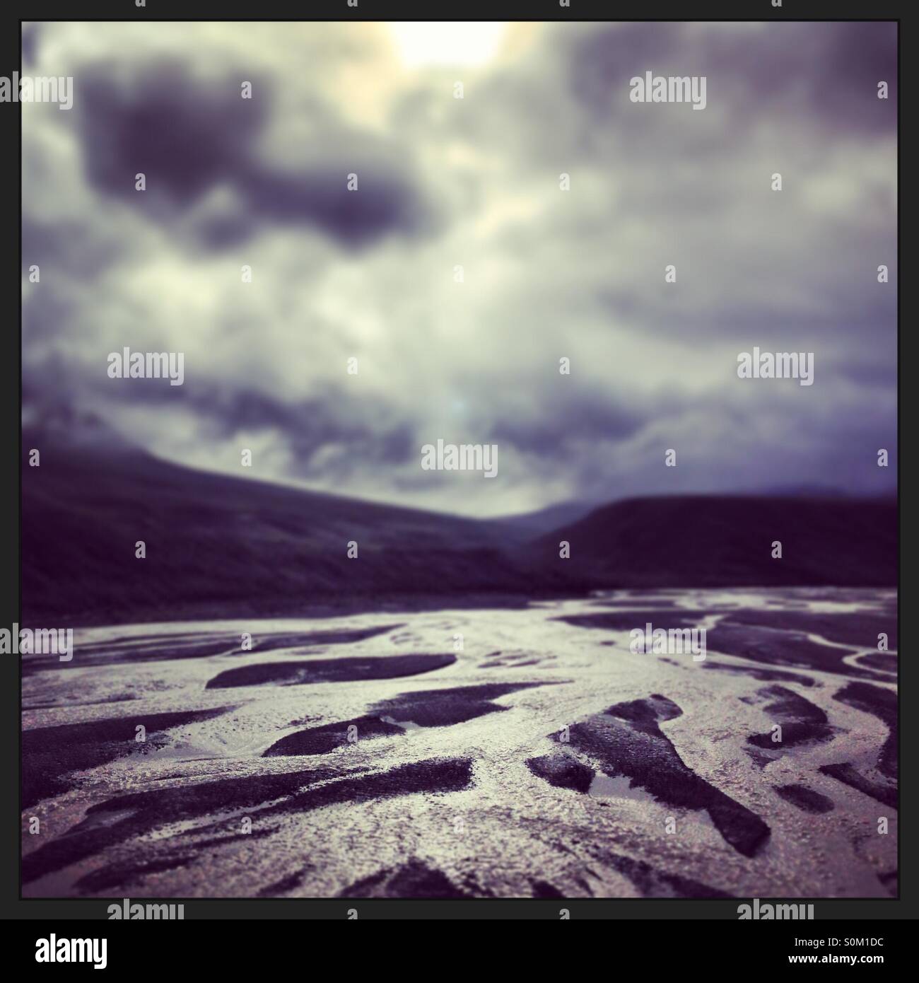 Alaska tundra hi-res stock photography and images - Alamy
