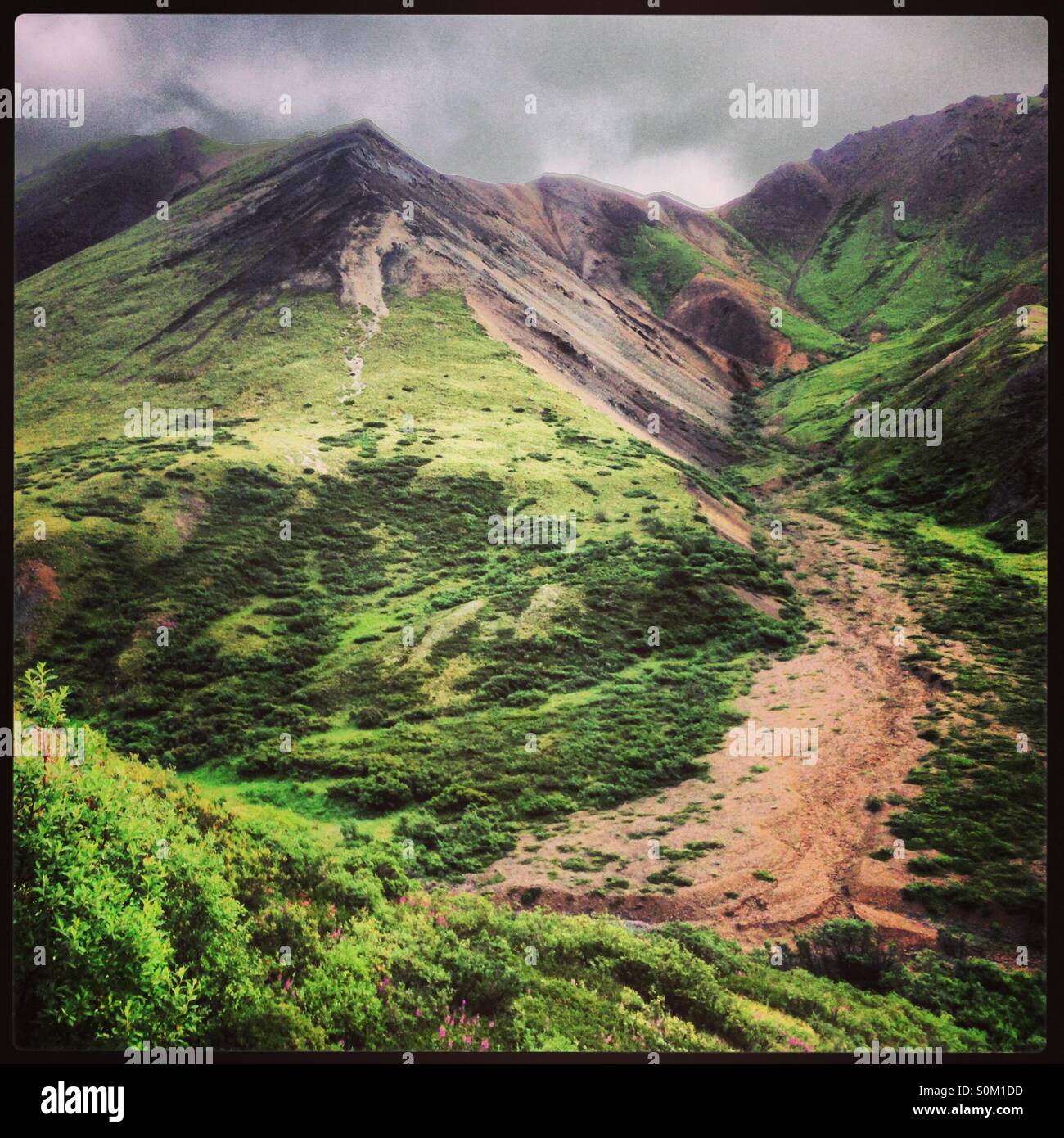 Alaska Tundra Stock Photos & Alaska Tundra Stock Images - Alamy