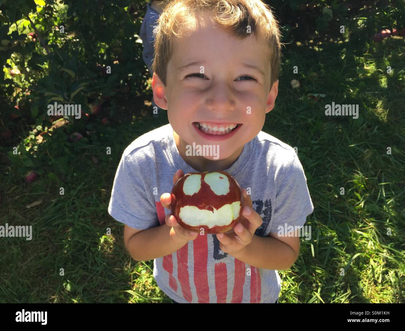Apple picking smiley face boy Stock Photo - Alamy