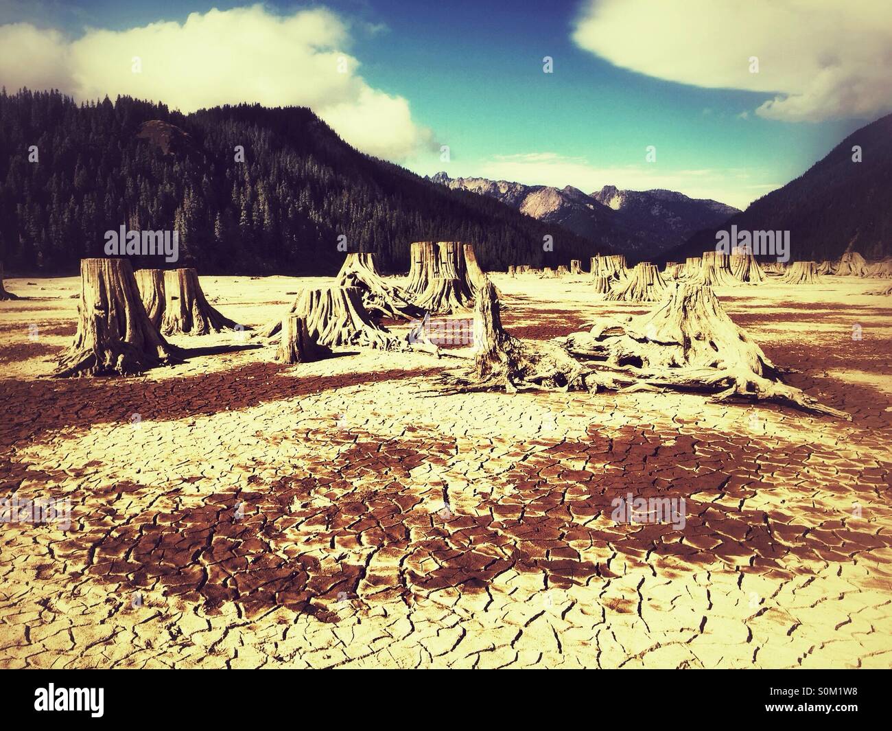 Dried out lake in eastern Washington Stock Photo - Alamy