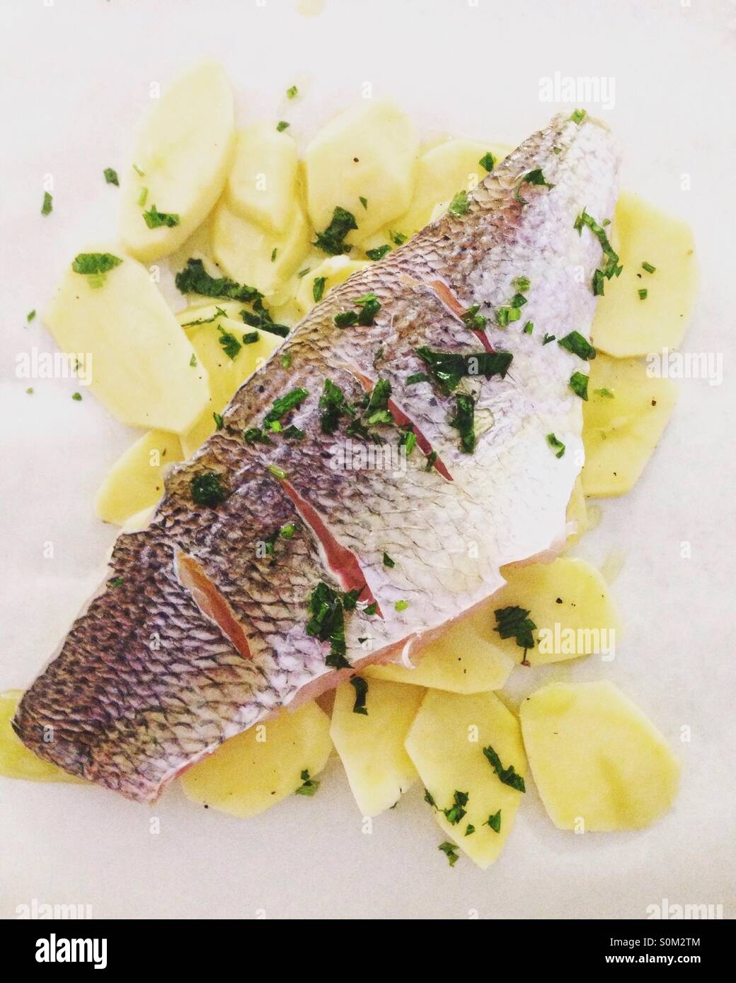 Fish fillet ready to cooking Stock Photo - Alamy