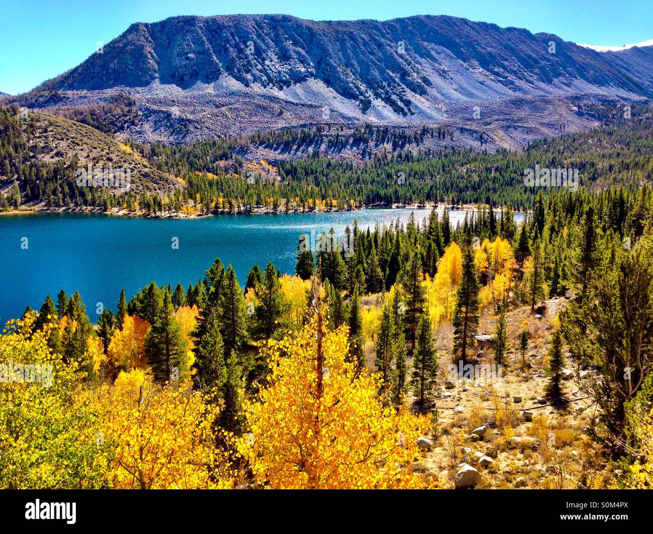 Fall color in the Eastern Sierra Stock Photo - Alamy