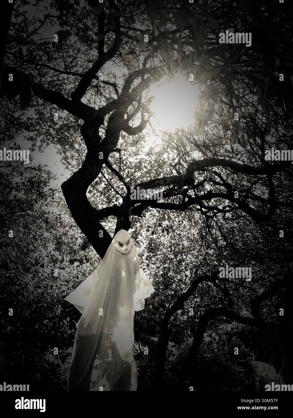 Ghost in forest Stock Photo - Alamy