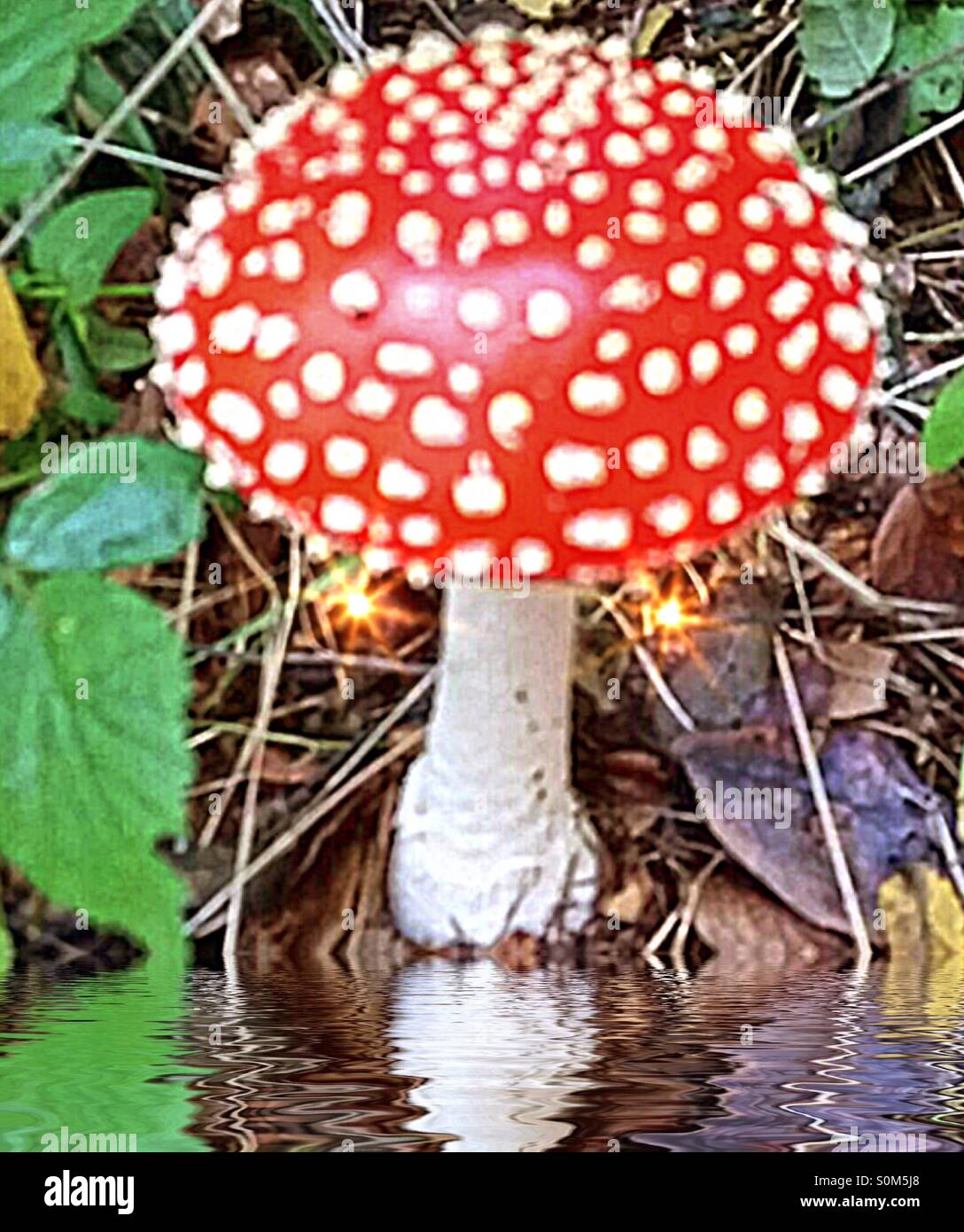 colours Stock Photo - Alamy