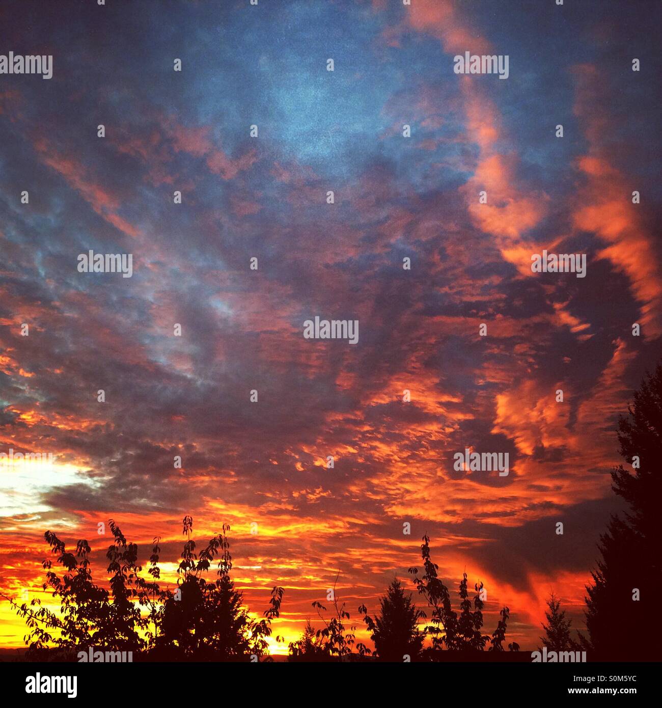 Beautiful fall sunset Stock Photo - Alamy