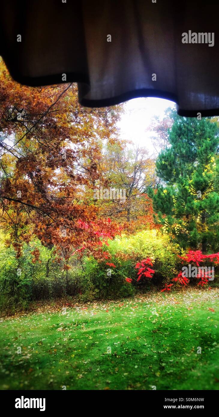 Looking out the window on a fall day Stock Photo - Alamy
