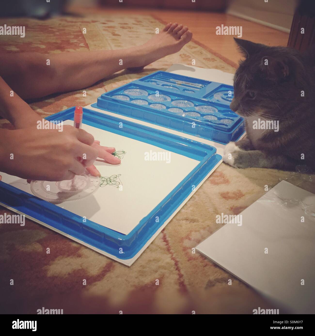 Pet cat is fascinated by Spirograph Stock Photo - Alamy