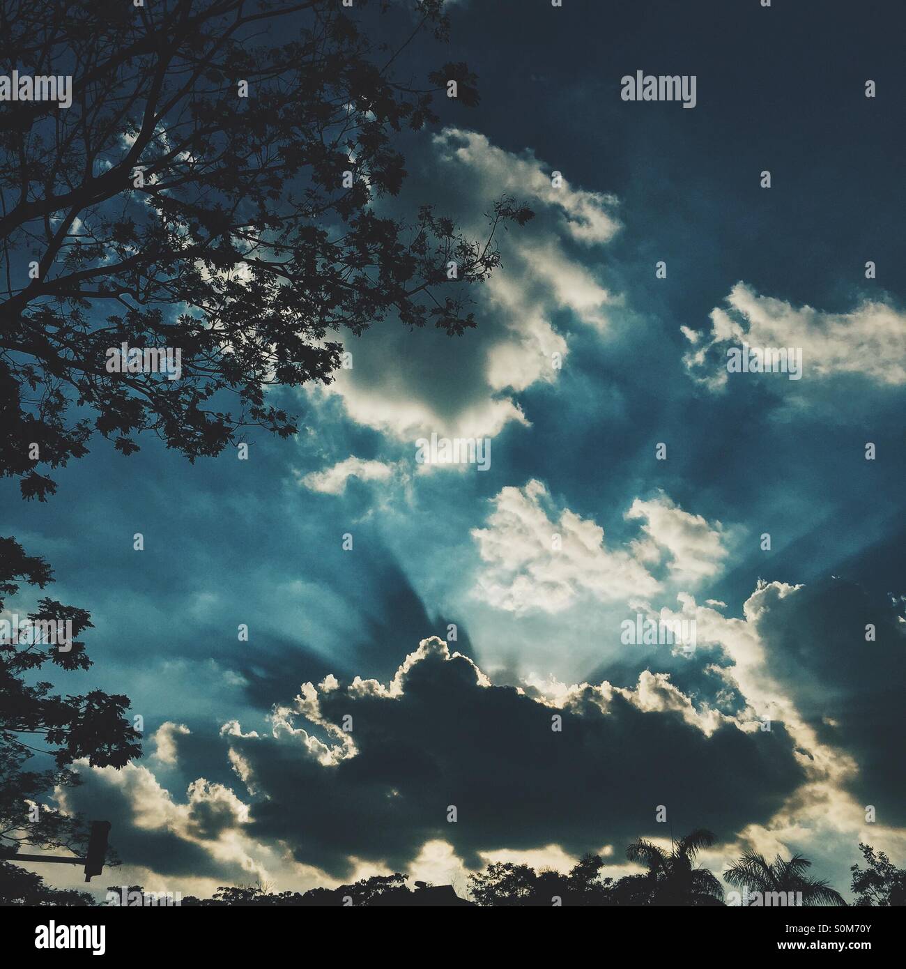 God the Ultimate Designer Stock Photo - Alamy