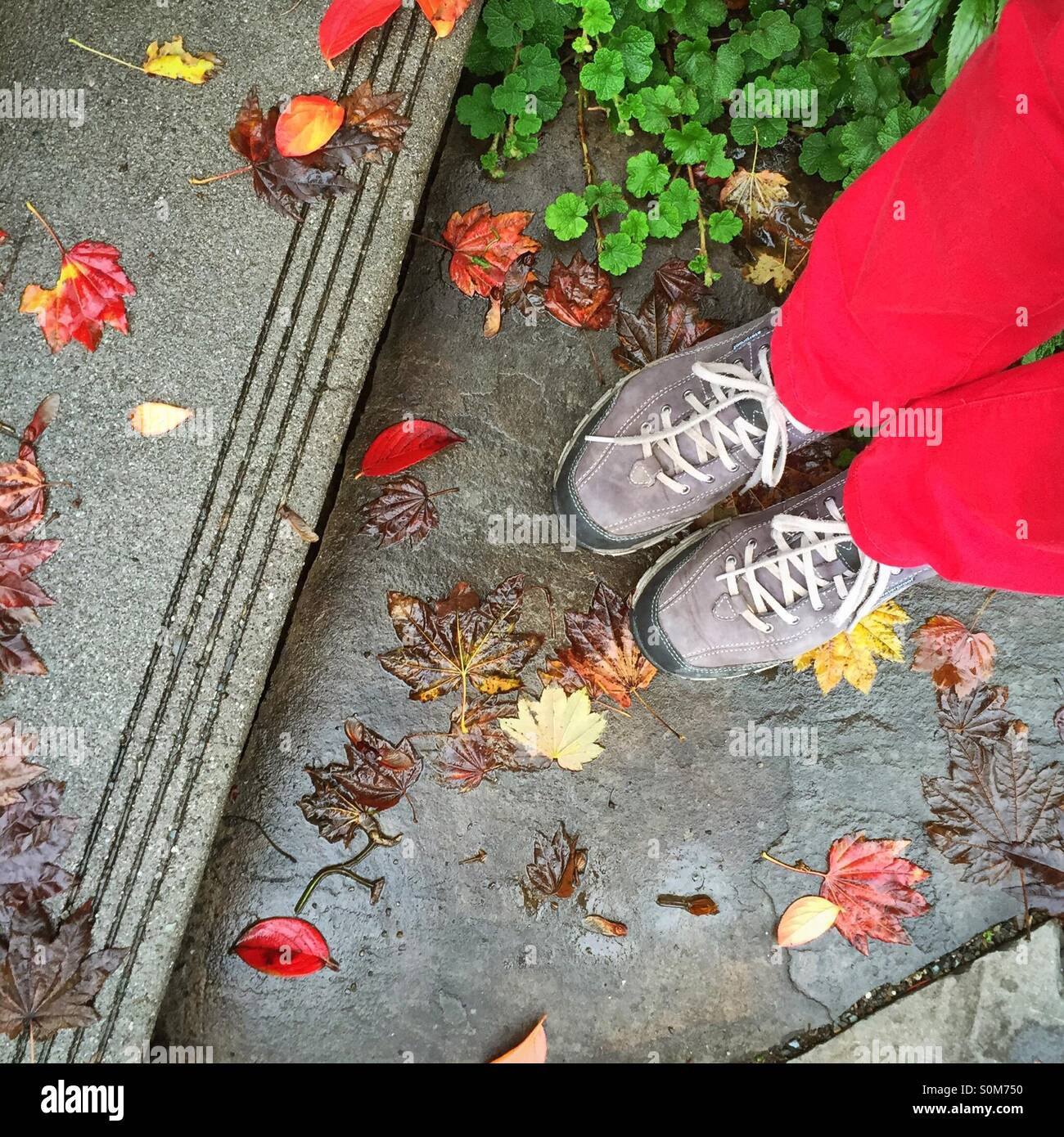 Feet on the leaves hi-res stock photography and images - Alamy