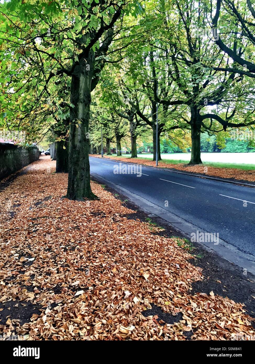 Autum hi-res stock photography and images - Alamy