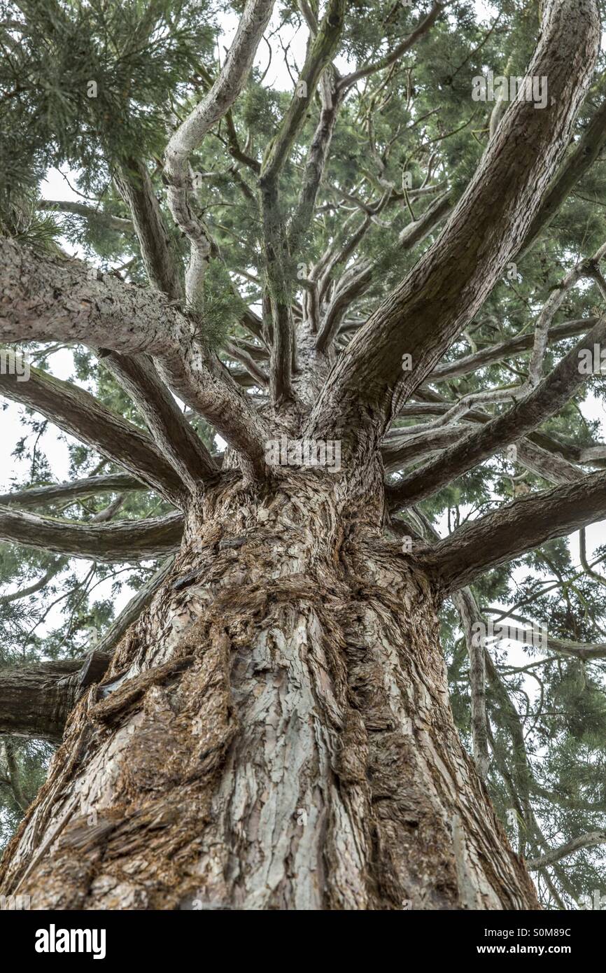 Massive gardens hi-res stock photography and images - Alamy