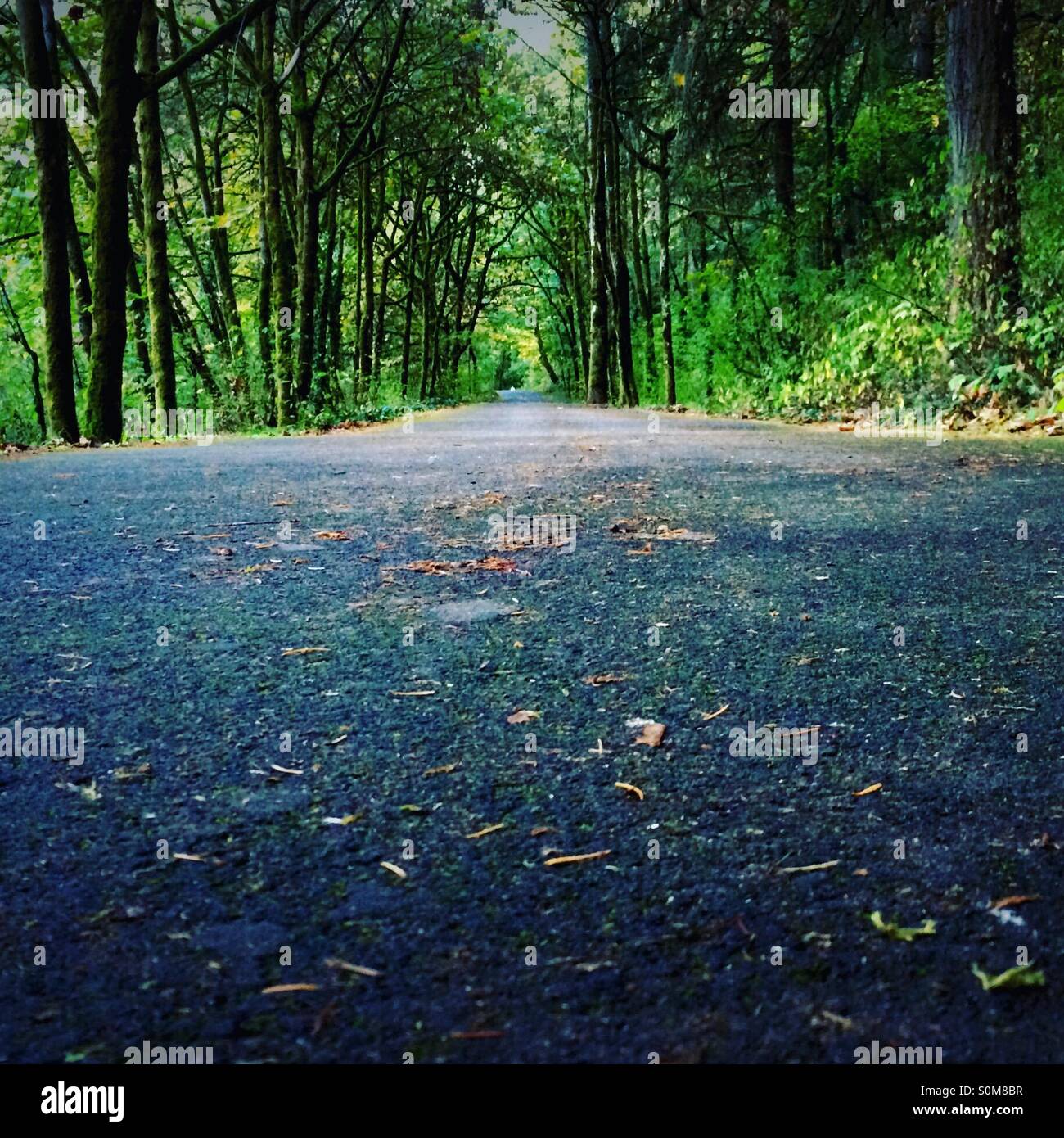 Bike trail and pedestrian trail hi-res stock photography and images - Alamy
