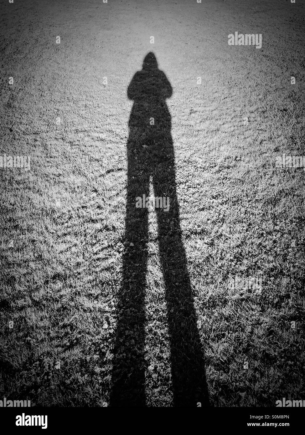 Legged black and Black and White Stock Photos & Images - Alamy