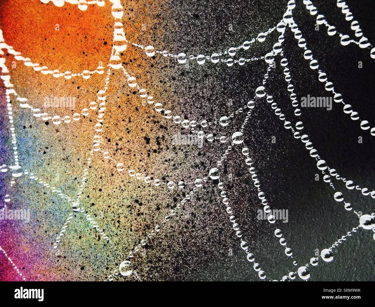 Art effect overlay on an image of a cobweb Stock Photo - Alamy