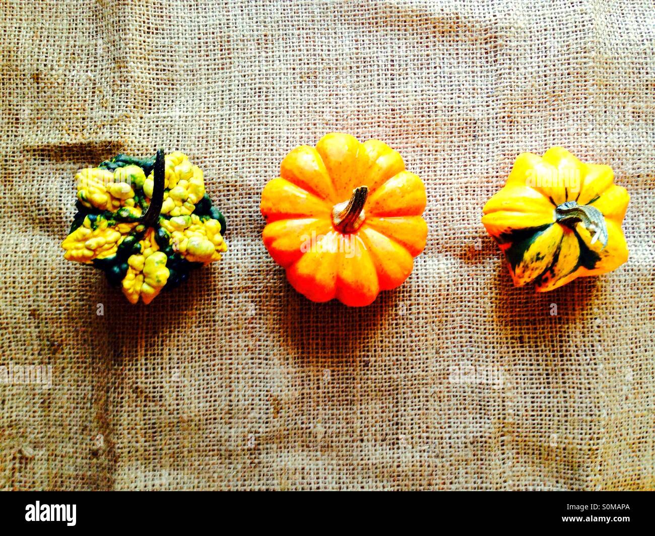 Three squash hi-res stock photography and images - Alamy