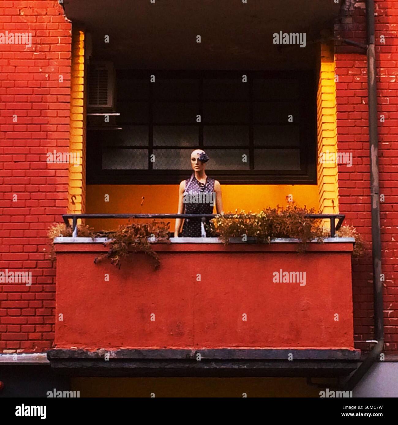 Yelow and red hi-res stock photography and images - Alamy