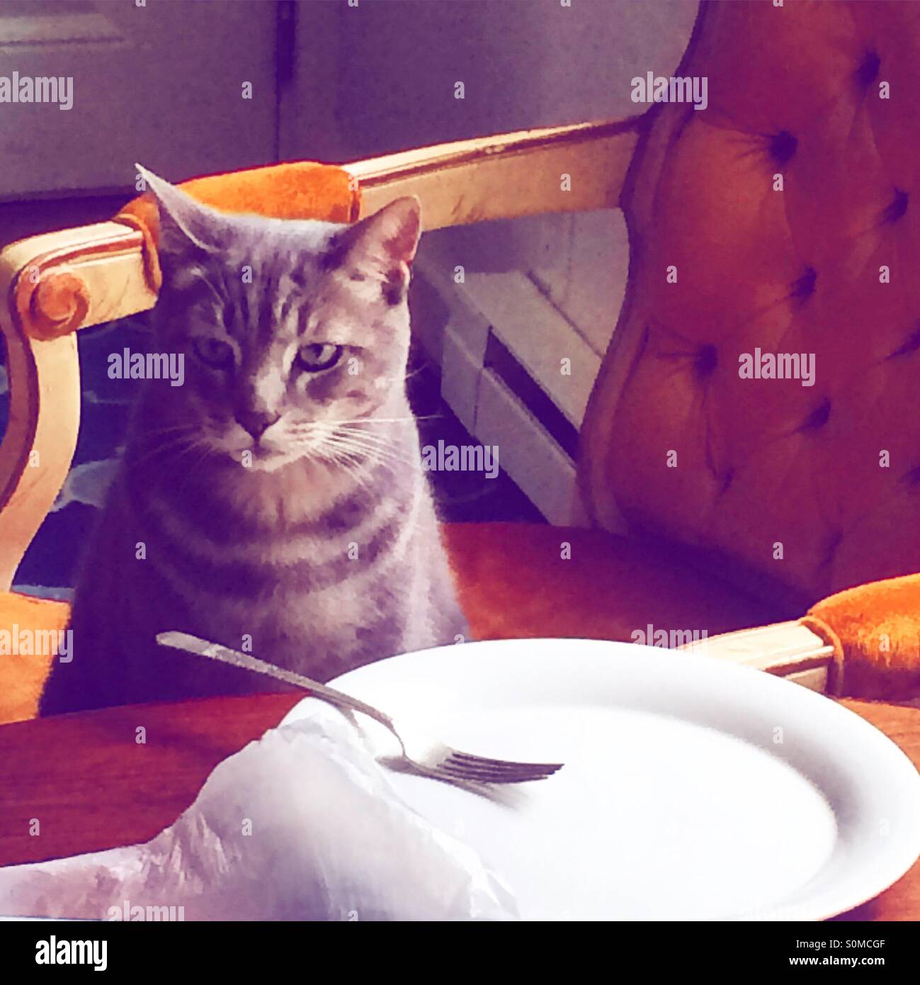 Dinner fork hi-res stock photography and images - Alamy