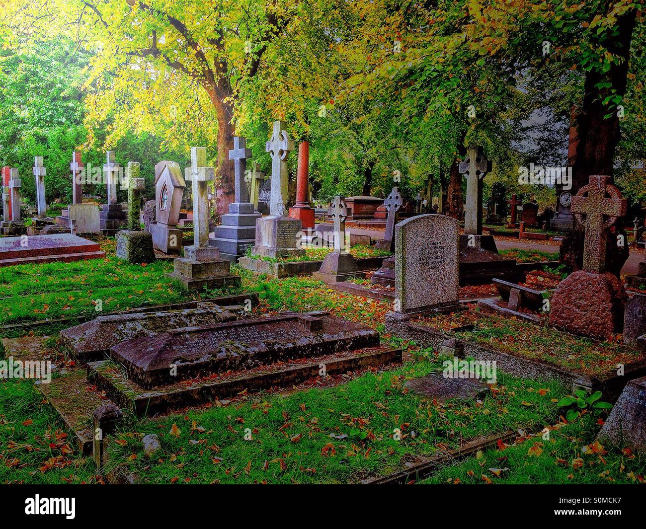 Old headstones autumn leaves smartphone stock photos and images - Alamy