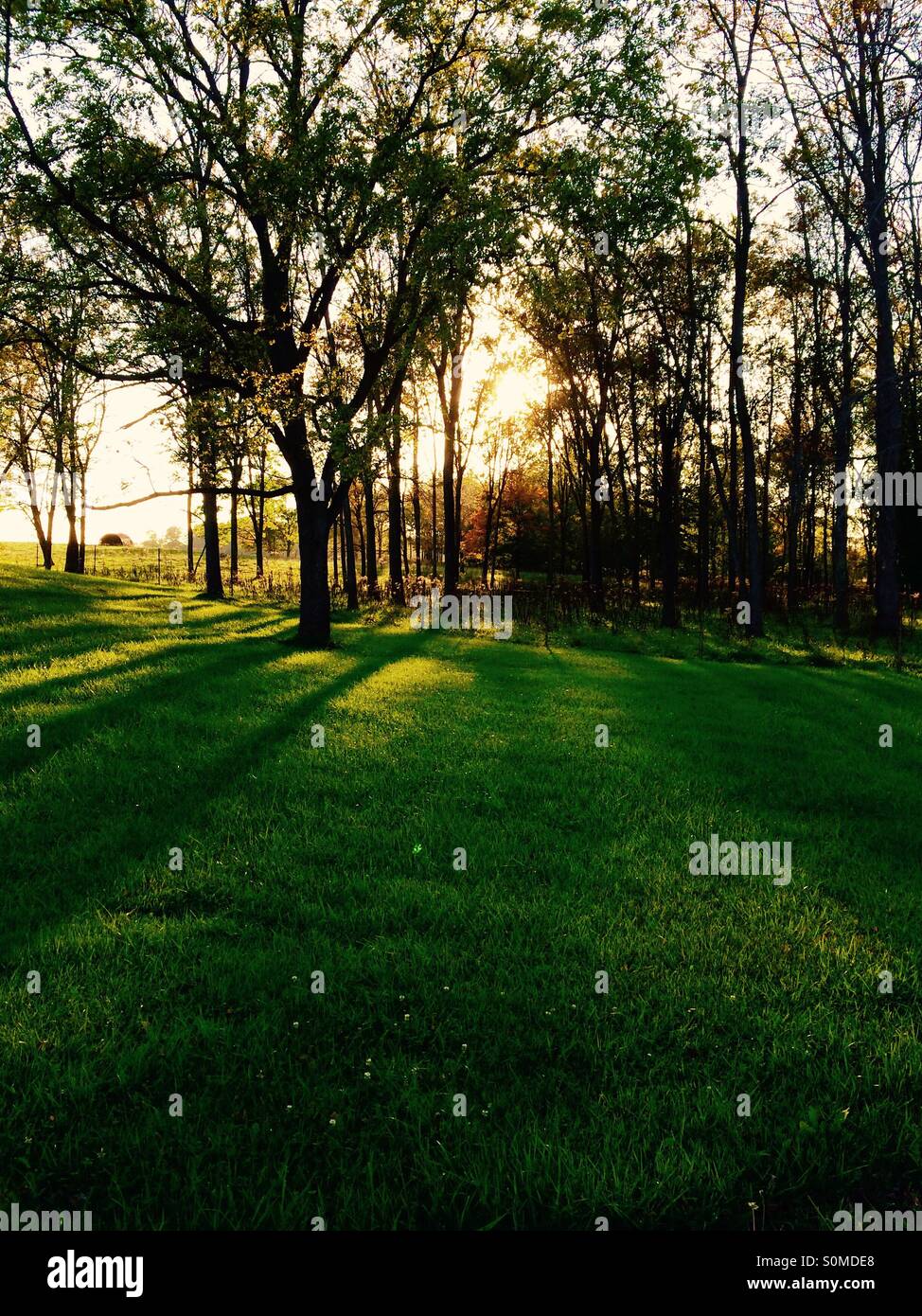 Midwestern farm sunset hi-res stock photography and images - Alamy