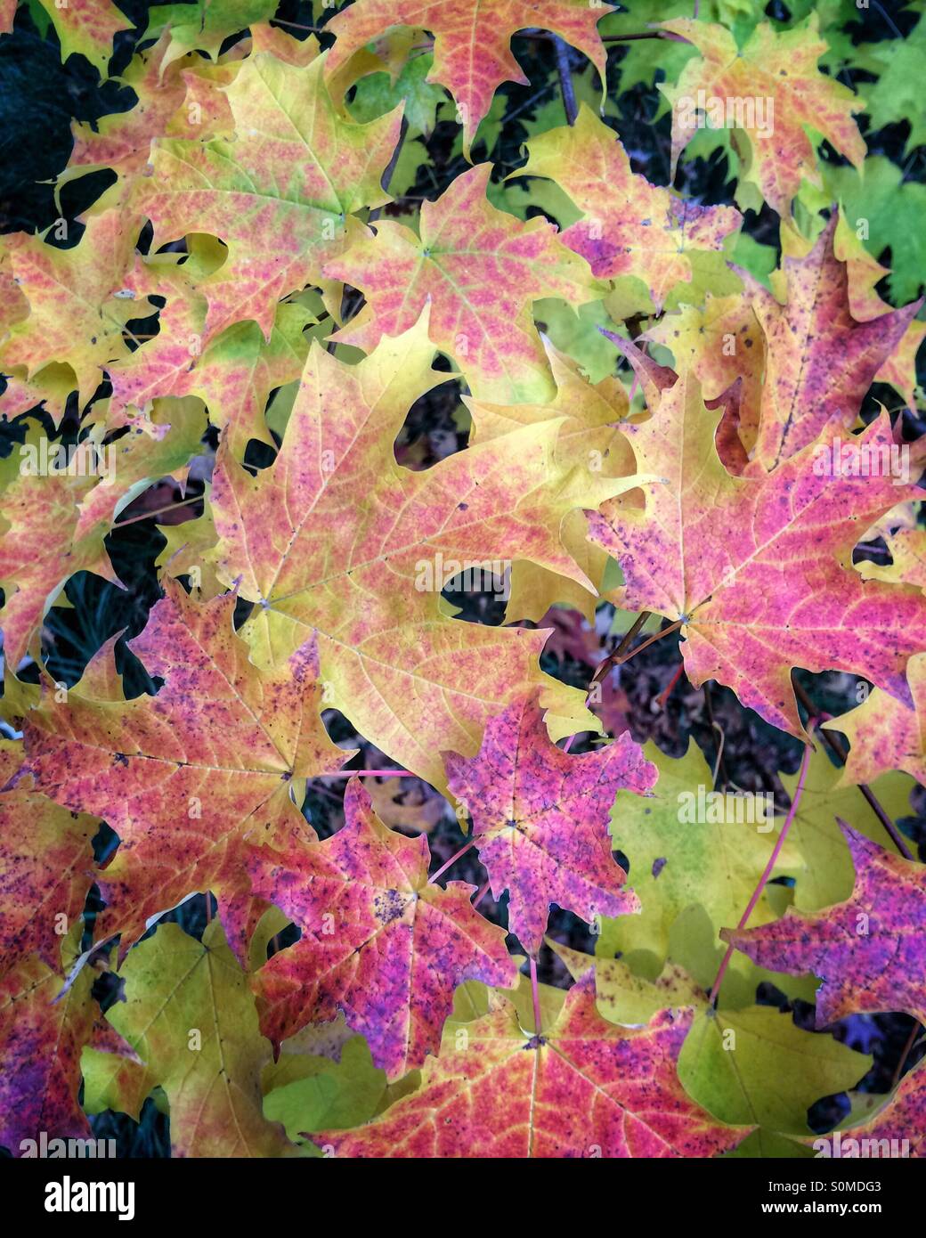 Colour colours color hi-res stock photography and images - Alamy