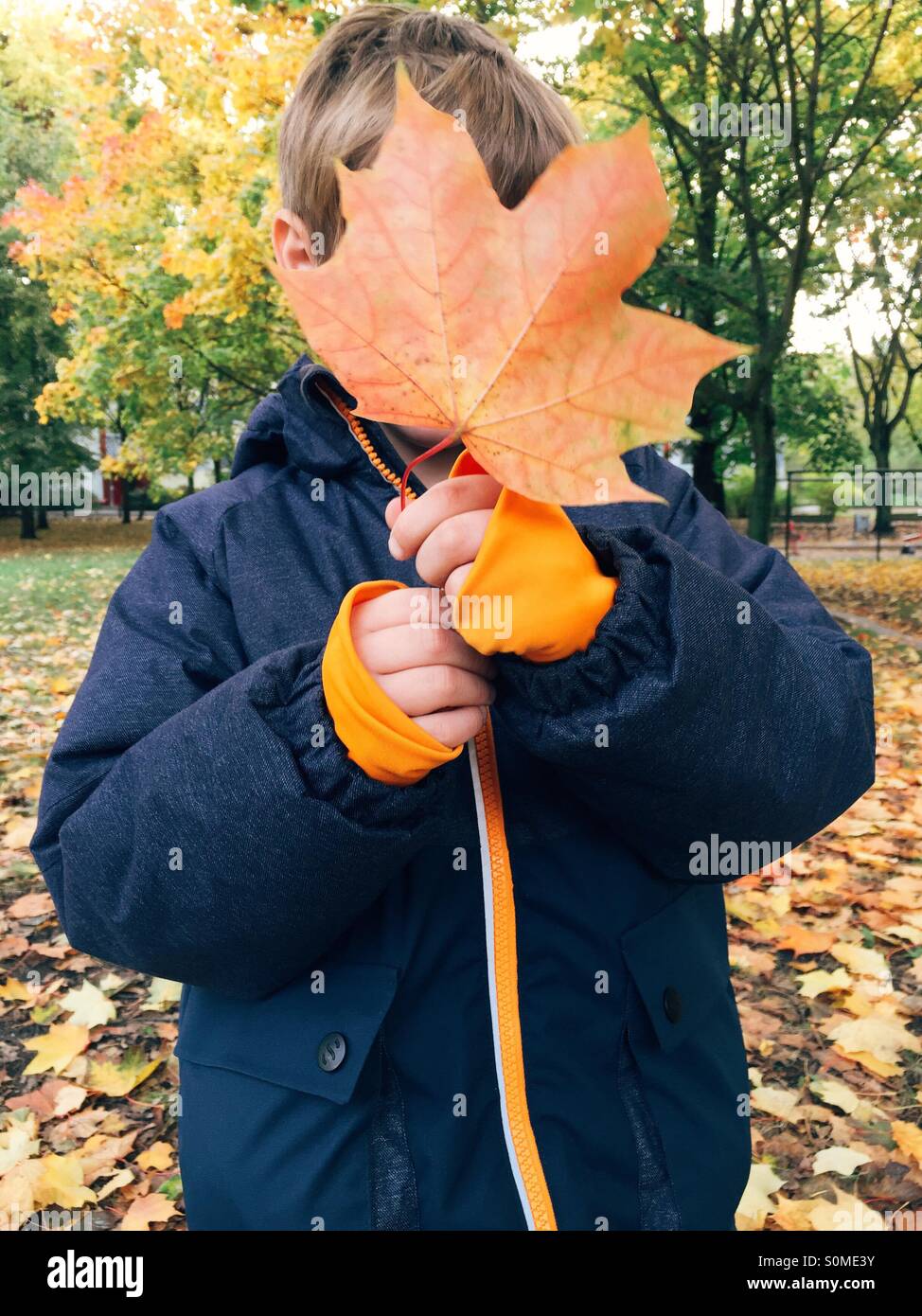 Boy Holding Leaf High Resolution Stock Photography and Images - Alamy