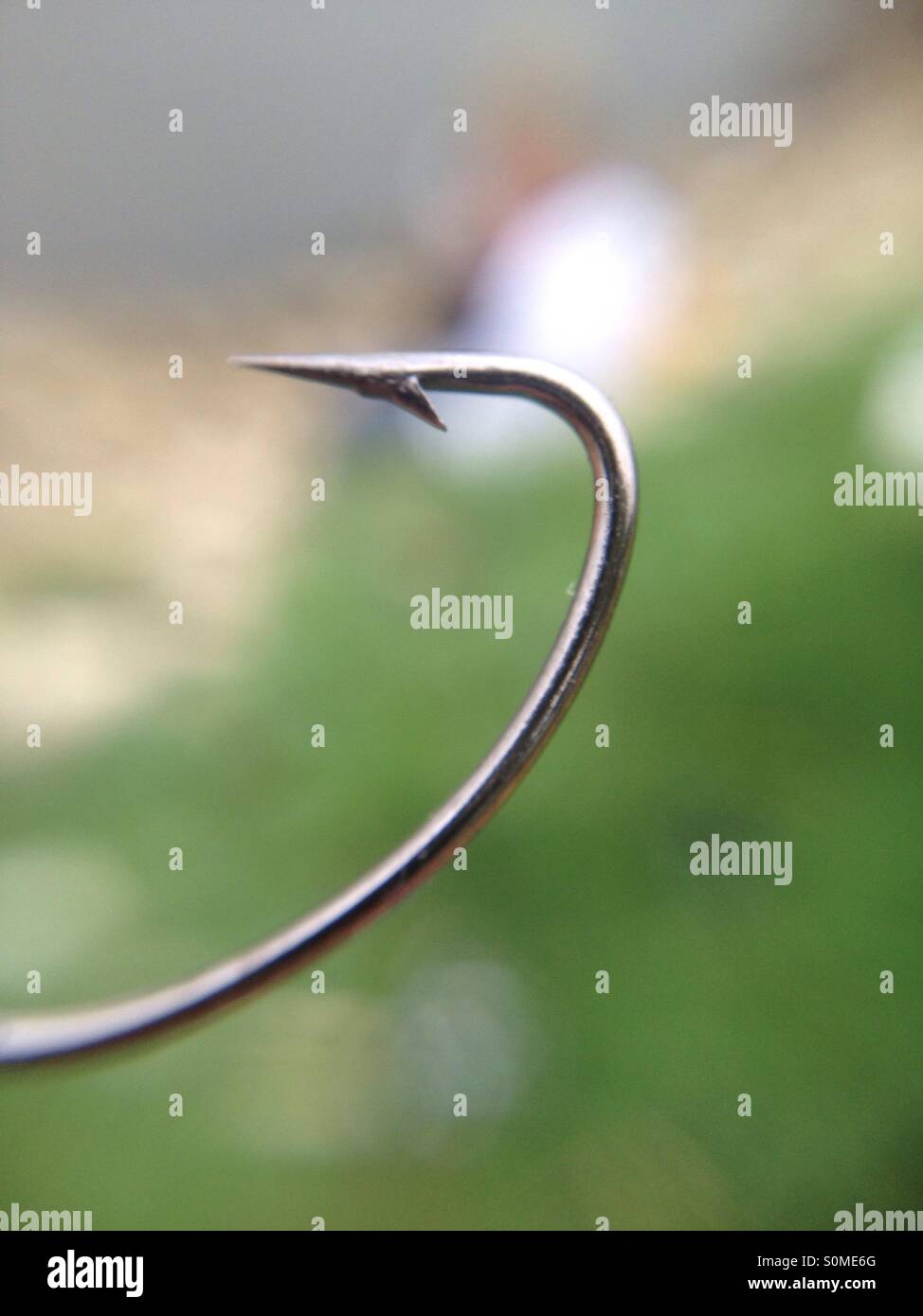 Deadly fish hi-res stock photography and images - Alamy