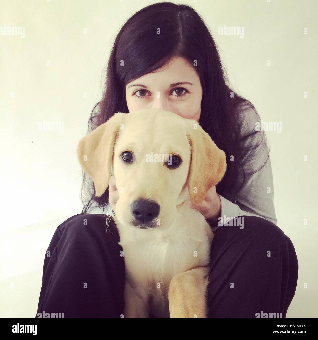 Golden Labrador Puppy Woman High Resolution Stock Photography and ...