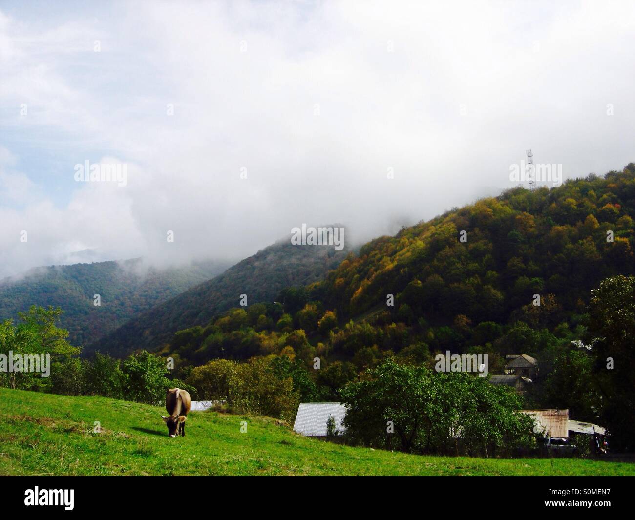 Armenian Forest High Resolution Stock Photography and Images - Alamy